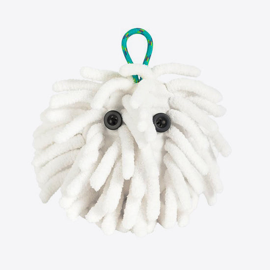 Allez Up Climbing Shop – Allez Up Shop